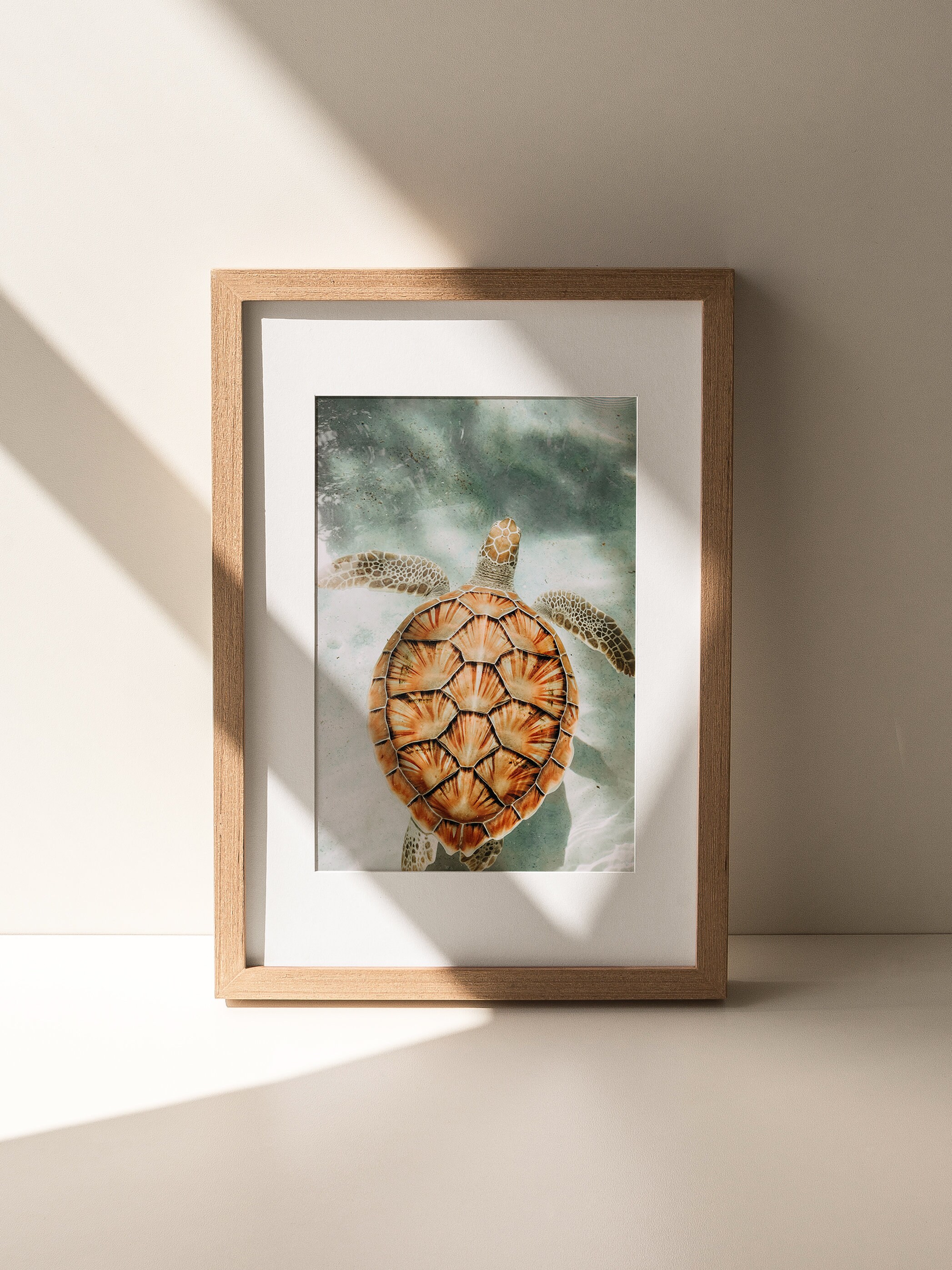 Underwater Sea Turtle Tropical Ocean Print Hawaiian Sea - Etsy