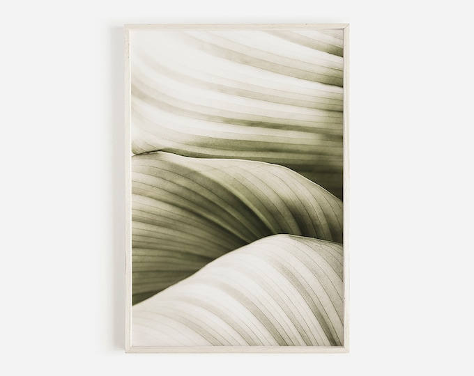 Flower and Leaf Botanical Prints set of 6 8x10s - Etsy