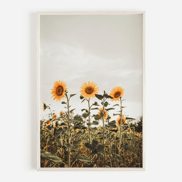Sunflower Poster - Etsy