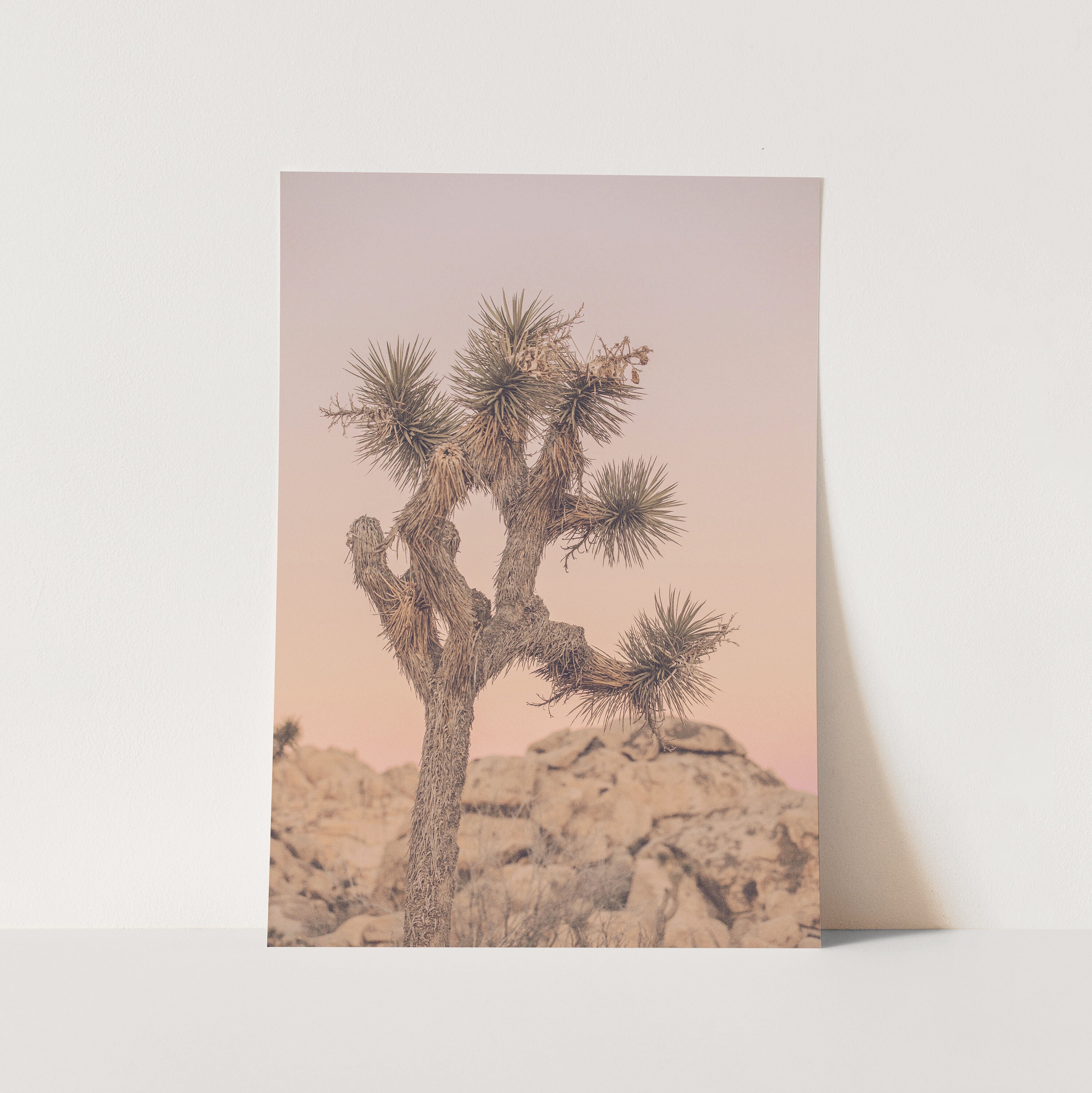 Sunset Joshua Tree Print Printable Wall Art Joshua Tree | Etsy