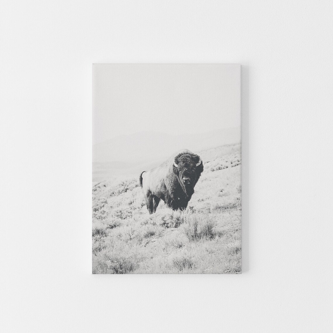 Bison Print Buffalo Print Bison Wall Art Animal Poster - Etsy