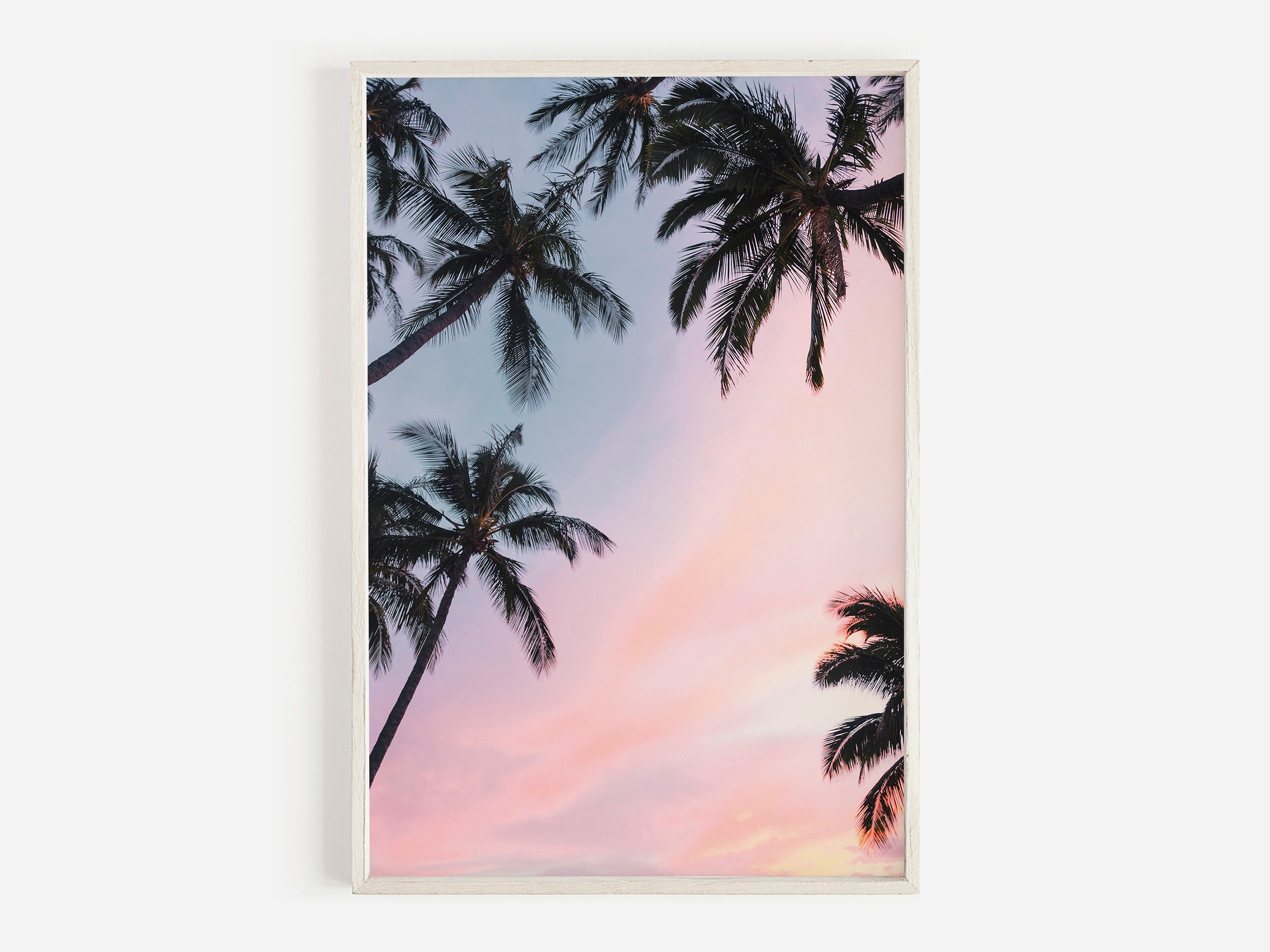 Palm Tree Sunset Tropical Wall Art Sunset Sky Photo - Etsy
