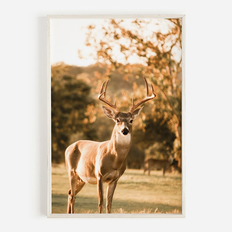 Deer Print - Etsy