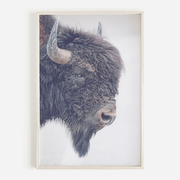 Bison Print - Etsy