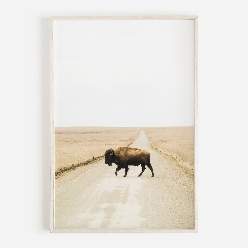 Buffalo Print - Etsy