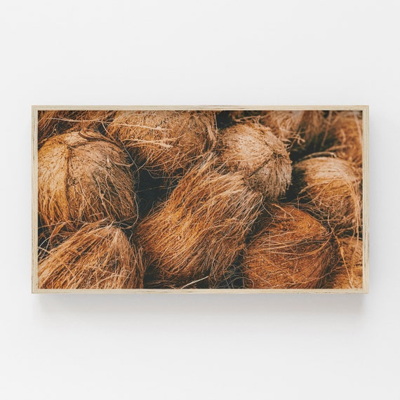 Samsung Frame TV Art Coconut TV Decor Pile of Coconuts | Etsy