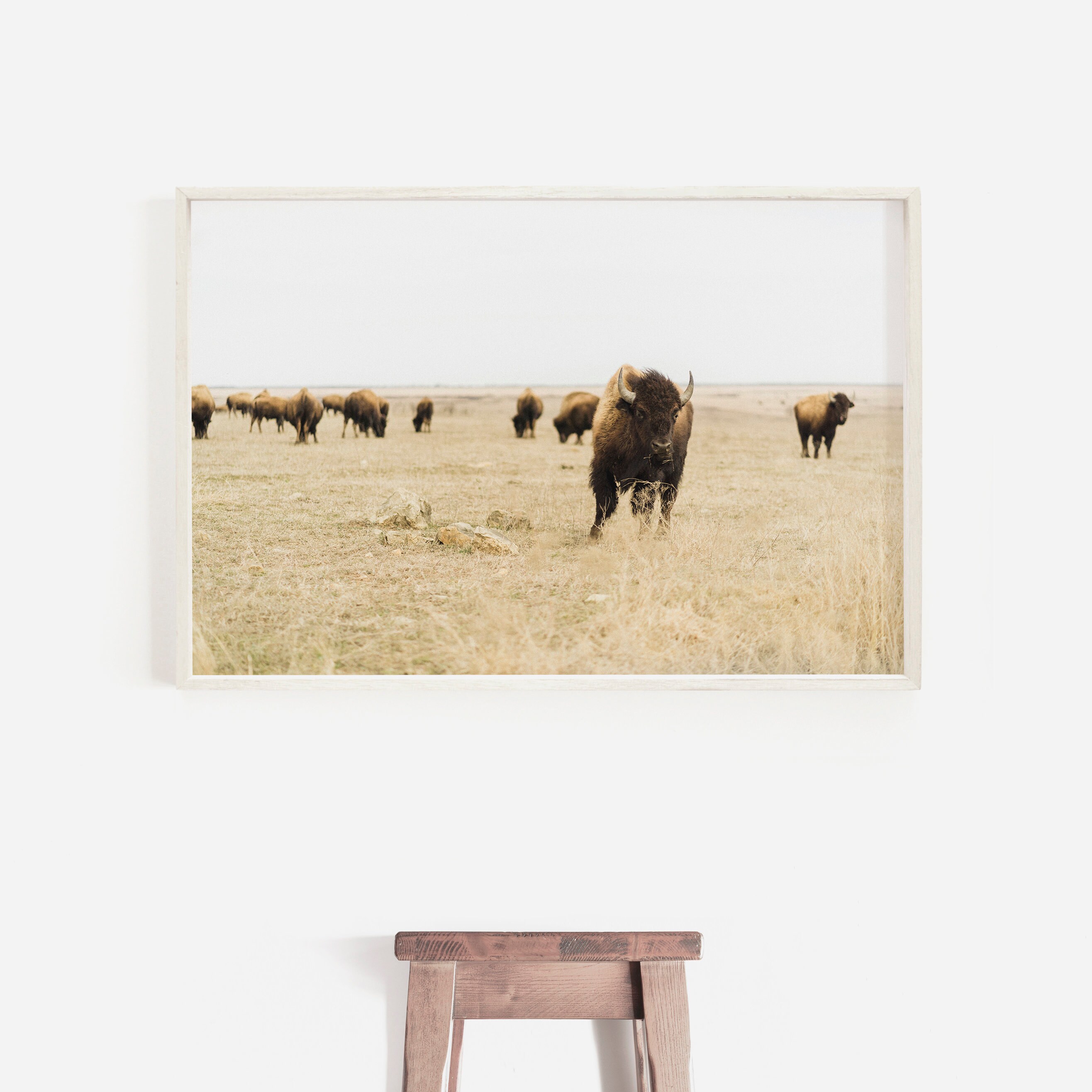 American Bison Print Printable Bison Buffalo Print Bison | Etsy
