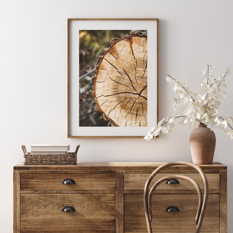 Rustic Log Print Tree Ring Wall Art Cut Tree Photo Lodge | Etsy