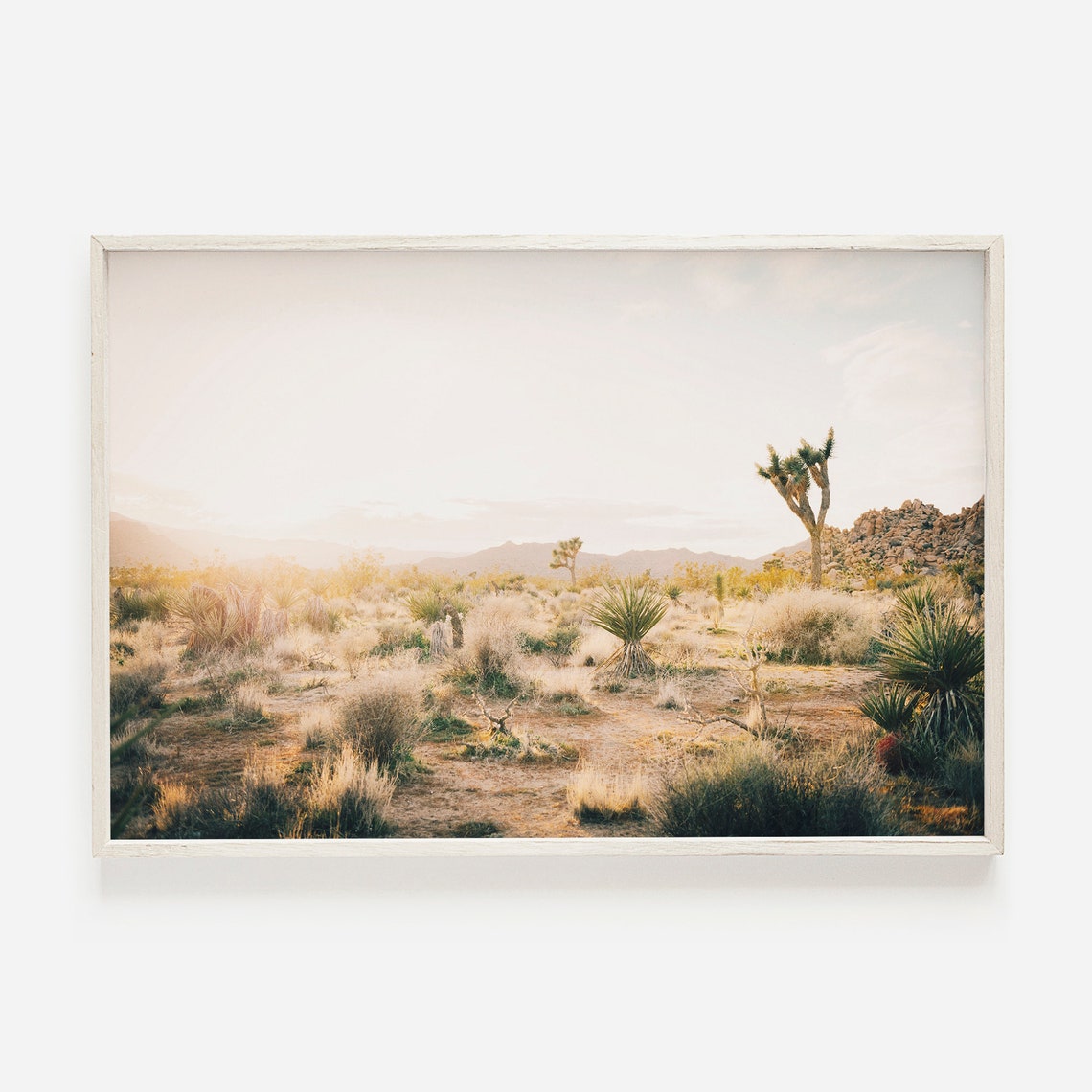 Desert Sunset Art Print, Joshua Tree Print, Nature Prints, Southwestern ...