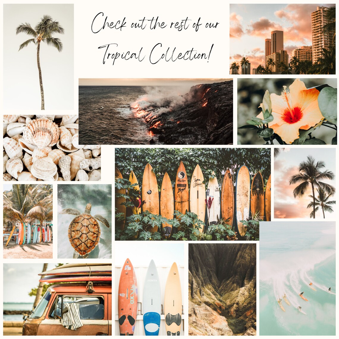 Surfboards in Hawaii, Tropical Forest Landscape, Surfing Ocean Print ...