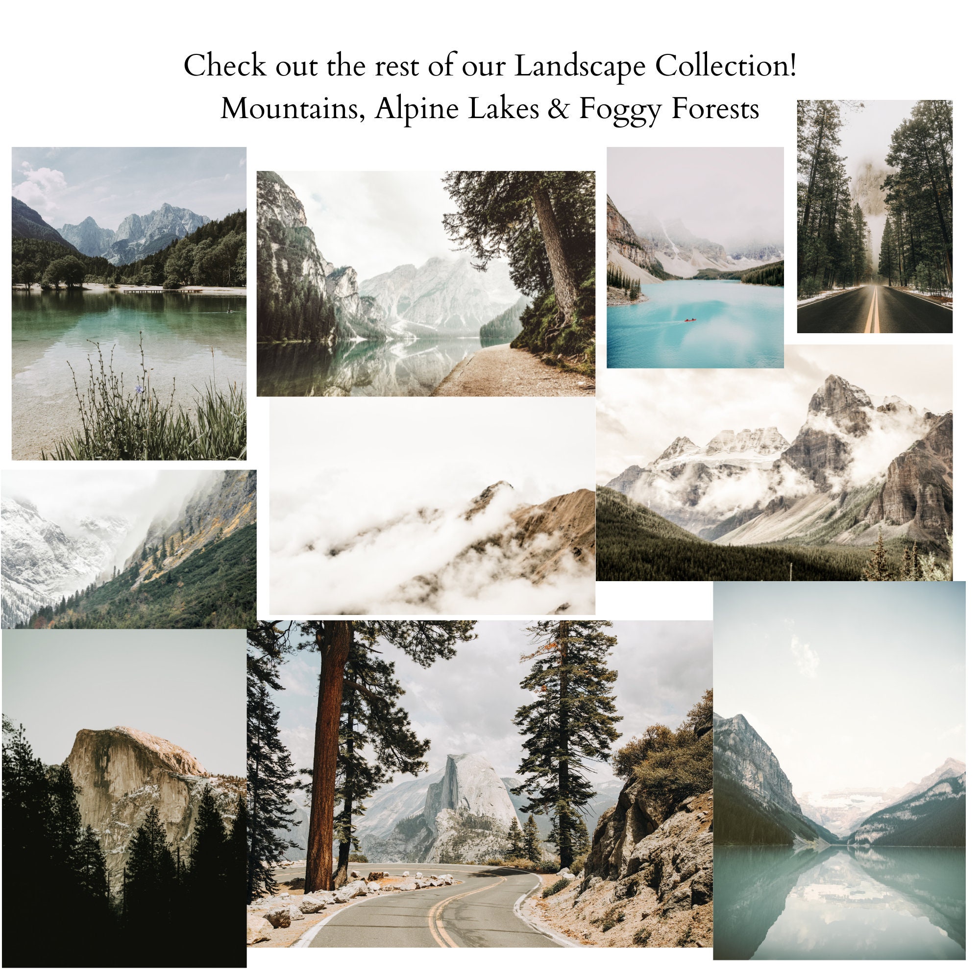 Forest Sunset Photo Pastel Sky Wall Art Nature Photography - Etsy