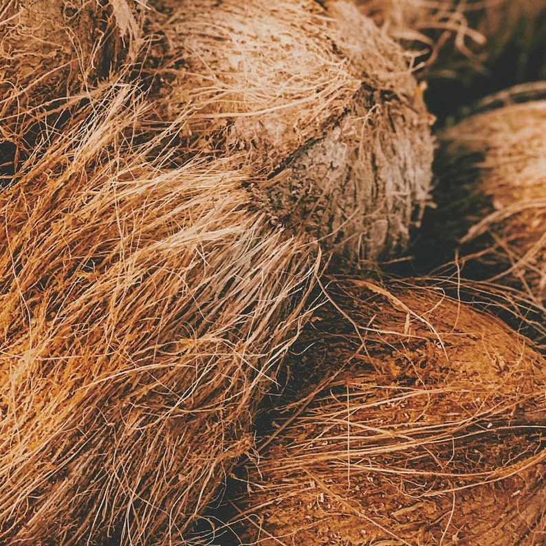 Samsung Frame TV Art, Coconut TV Decor, Pile of Coconuts, Coconut Photo ...