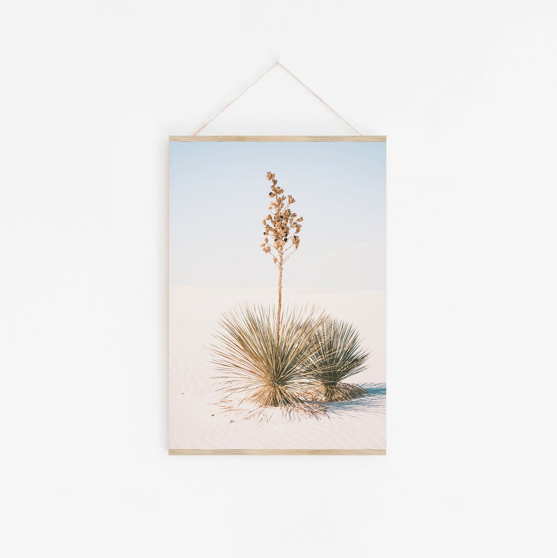 Desert Agave Print Cactus Print Cactus Wall Art Prints Cactus - Etsy