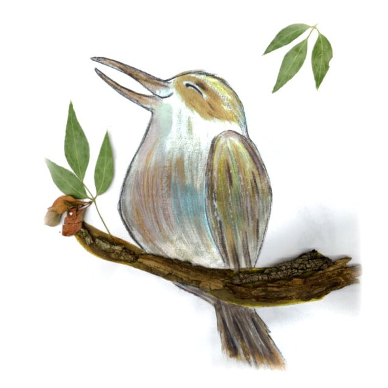 The Muddle on Mcfuddle's Farm - Mcfuddle Farm Children's Books - Etsy