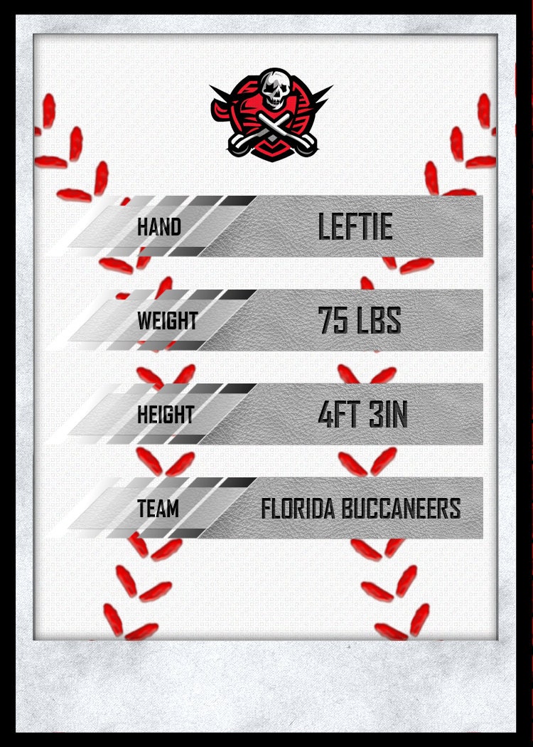 Baseball Card Template V19, Trading Card Template, Design for ALL ...