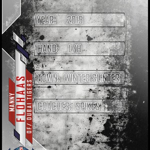 Create Your Own Baseball Card With This Printable Template - Etsy