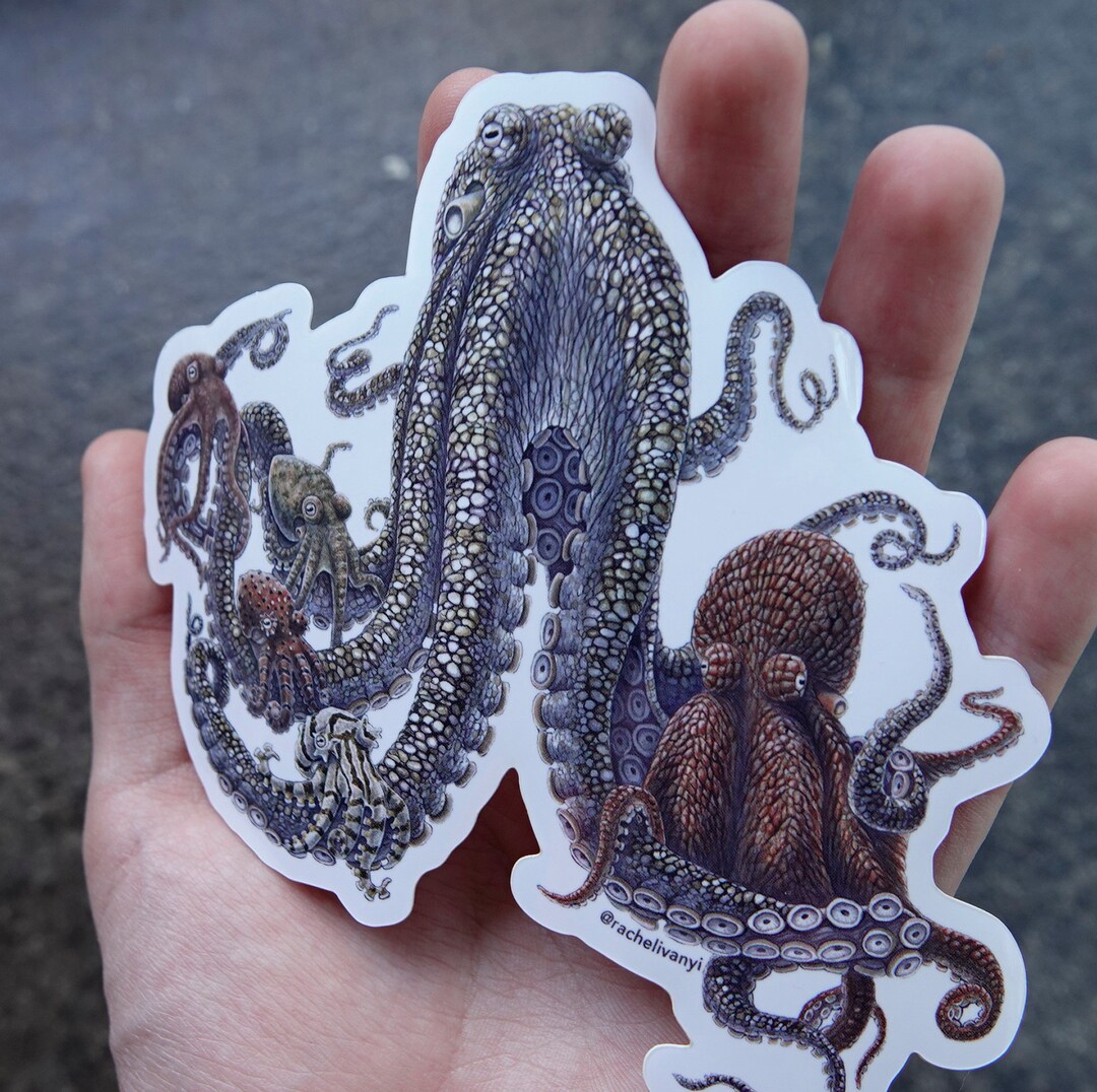 Octopus Vinyl Art Sticker - Etsy