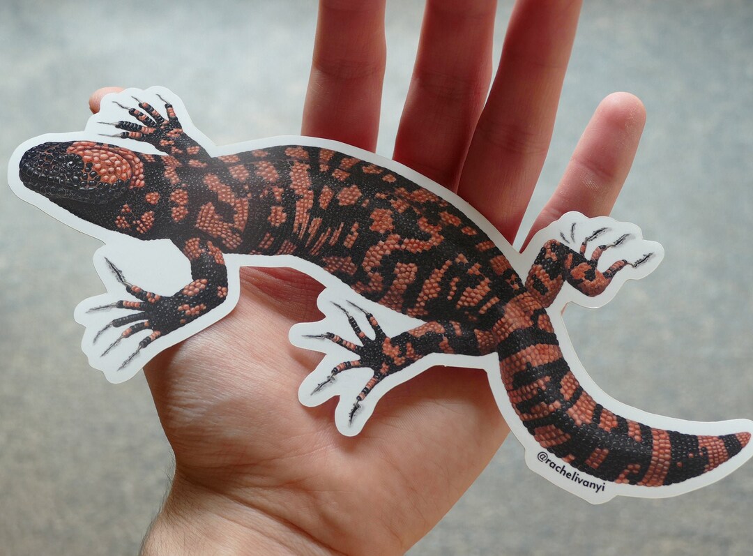Gila Monster Clear Vinyl Art Sticker - Etsy