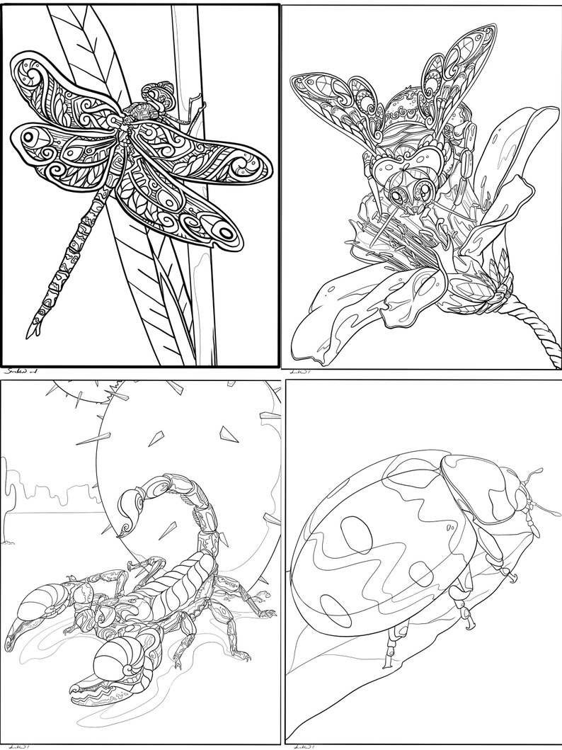 Four Coloring Creepy Crawlies Printable Pages - Etsy