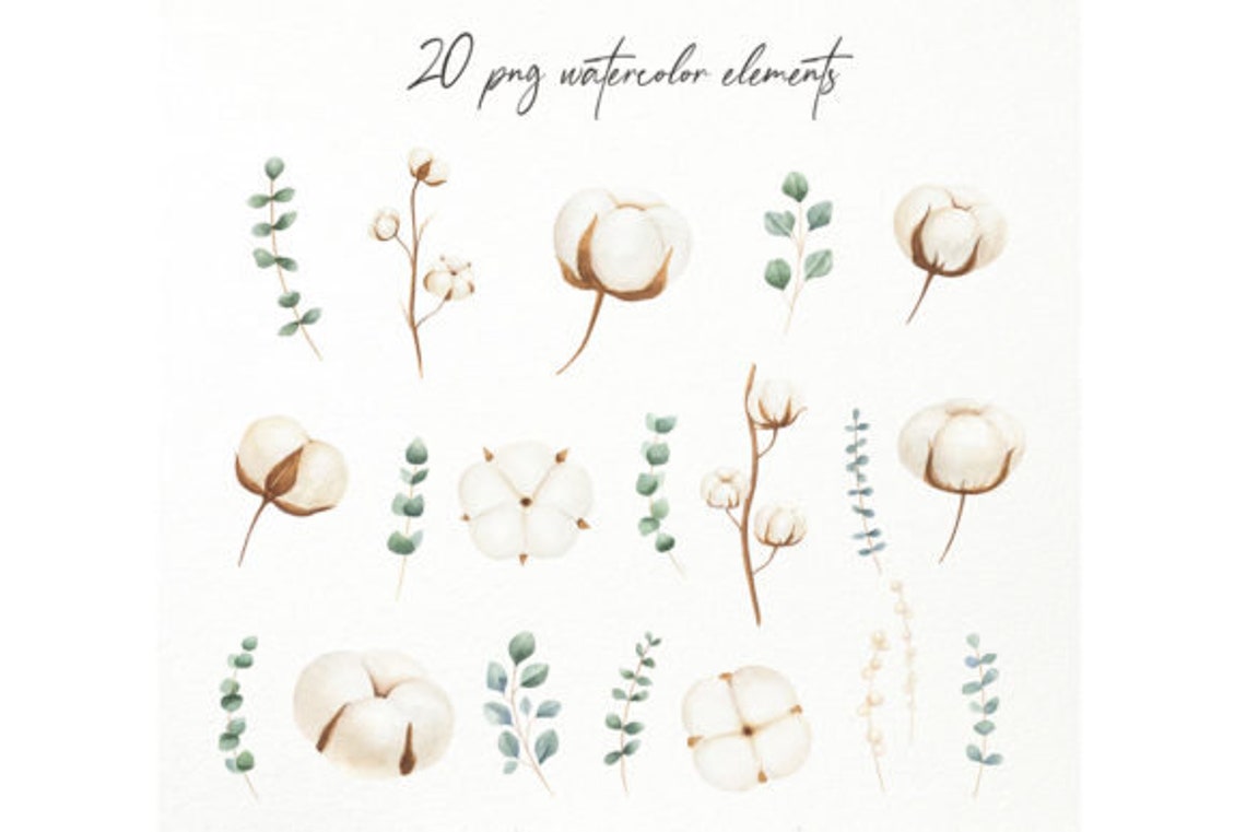 Cotton Watercolor Clipart , Cotton Branches, Wedding Clipart, Cotton ...