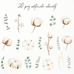 Cotton Watercolor Clipart , Cotton Branches, Wedding Clipart, Cotton ...