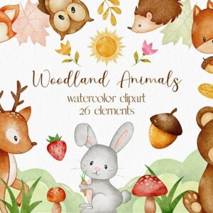 Watercolor Best Bundle Safari Baby Animals Clipart Woodland Animals ...
