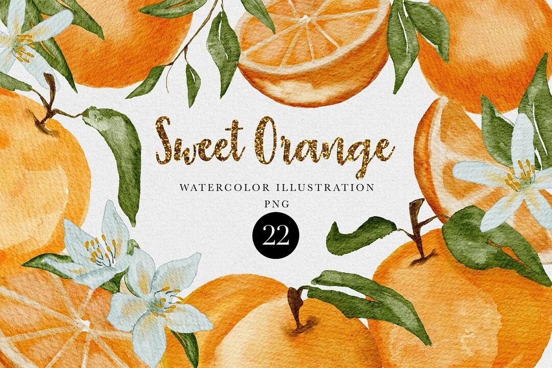 Watercolor Orange Clipart PNG Set of Citrus Oranges, Hand-painted Clip ...