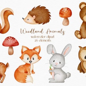 Woodland Animals Watercolor Clipart Watercolor Clipart of Forest ...