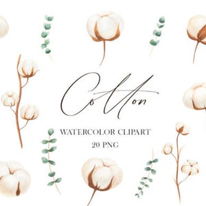Cotton Watercolor Clipart , Cotton Branches, Wedding Clipart, Cotton ...