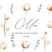 Cotton Watercolor Clipart , Cotton Branches, Wedding Clipart, Cotton ...