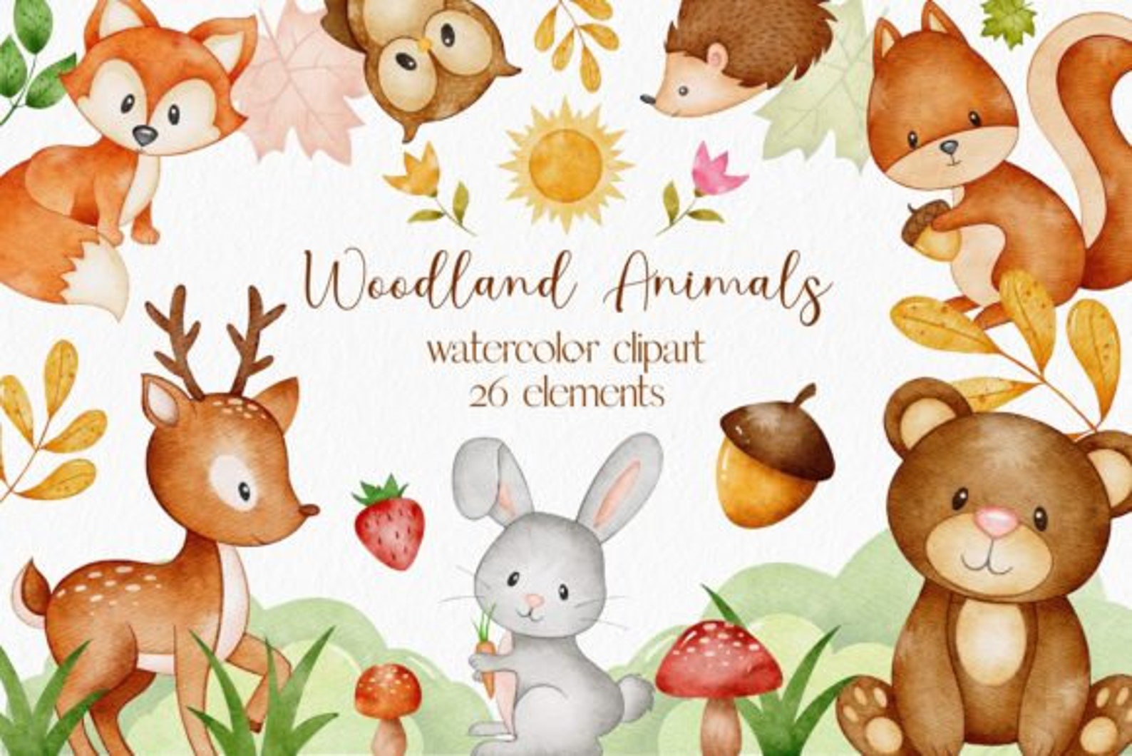 Woodland Animals Watercolor Clipart Watercolor Clipart of Forest ...