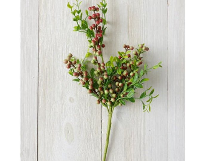 Coffee Bean Plant Faux Pick - Etsy