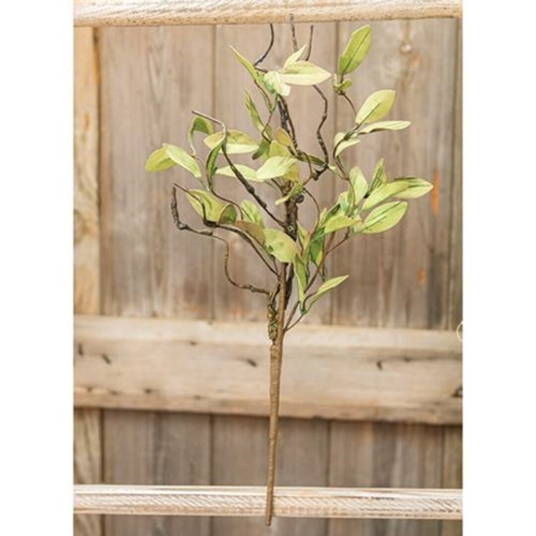 Sage Leaves & Twigs 16 Faux Pick - Etsy