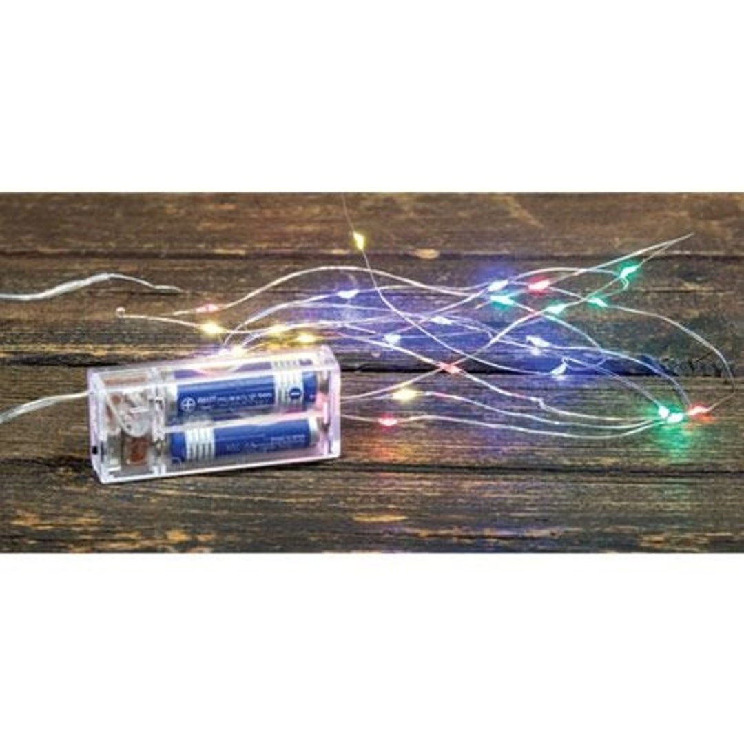 LED Multi-color 30 Ct Bud Lights Battery Powered - Etsy