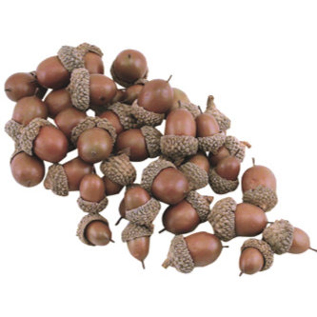 Bag of Resin Acorns 40 Pcs - Etsy