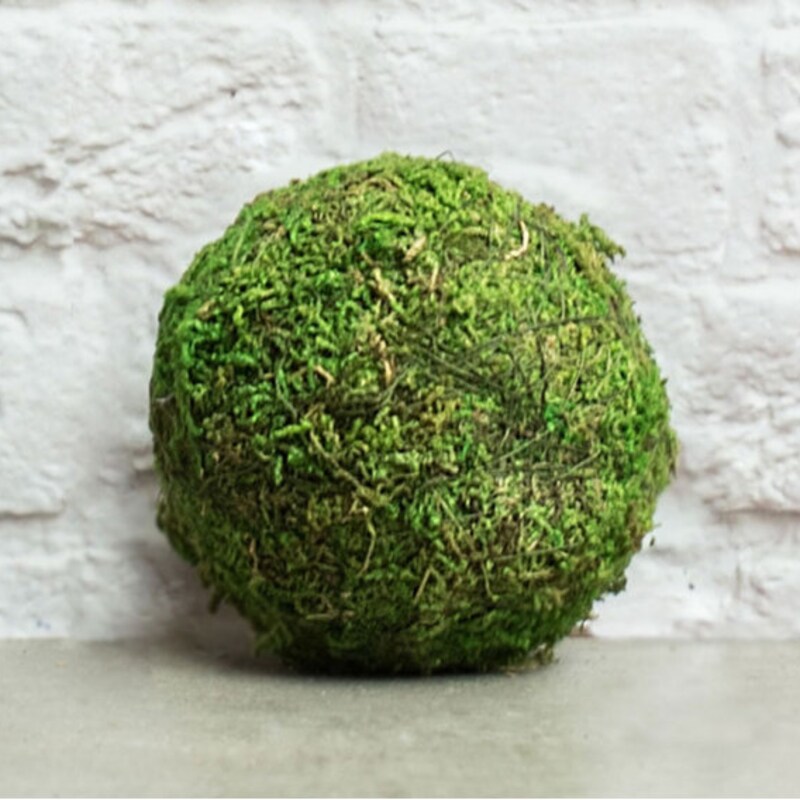 Moss Balls - Etsy