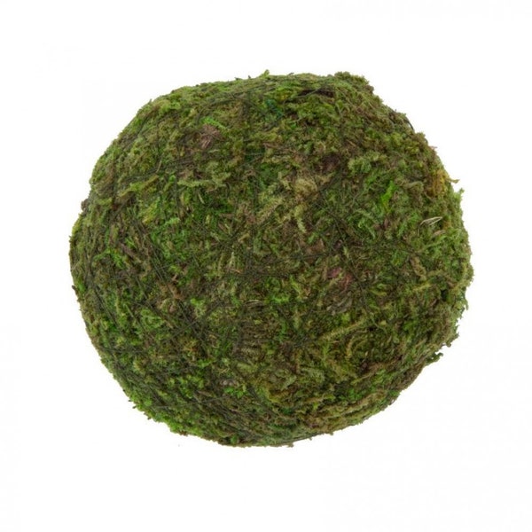 Moss Ball - Etsy