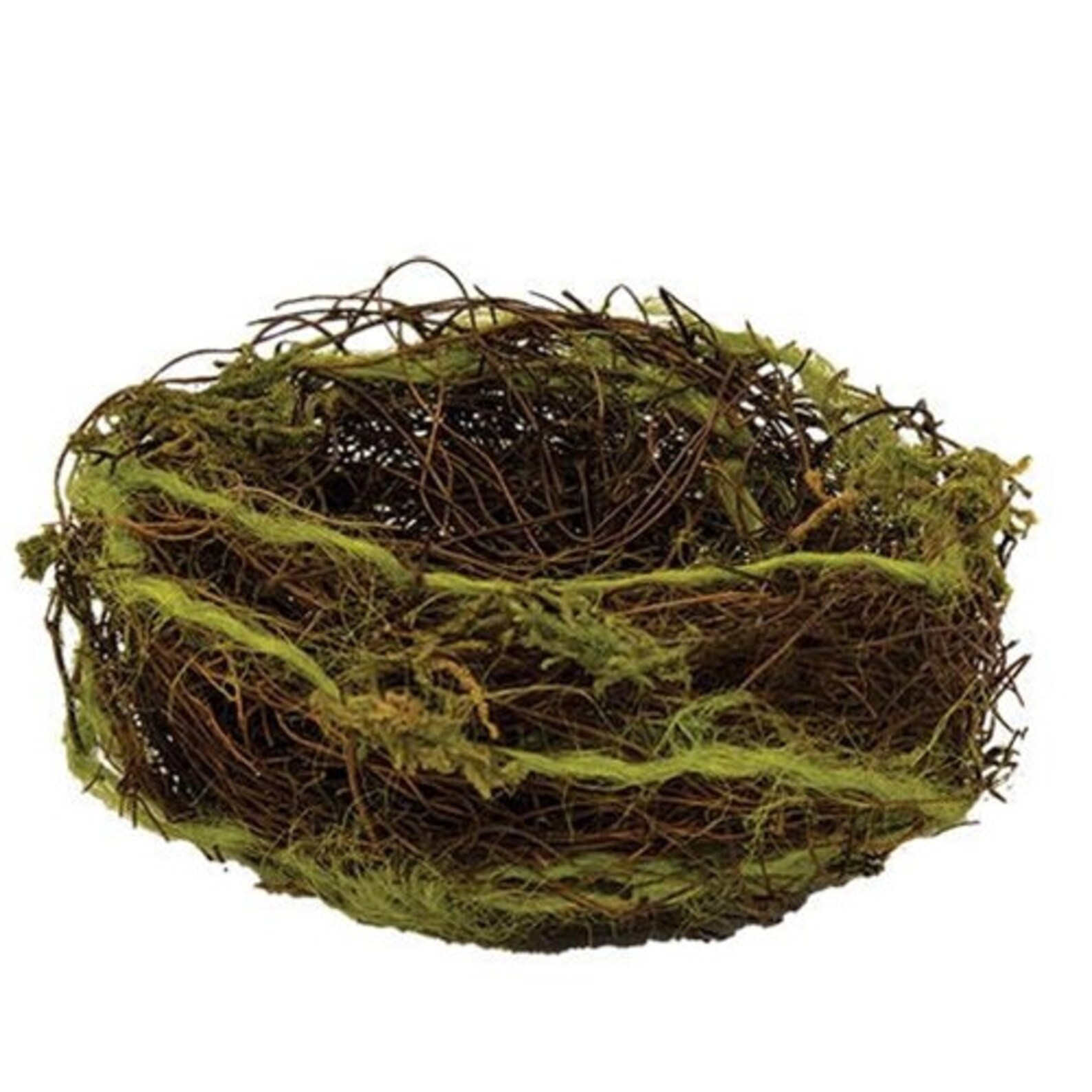 Mossy Natural 5 Bird Nest - Etsy