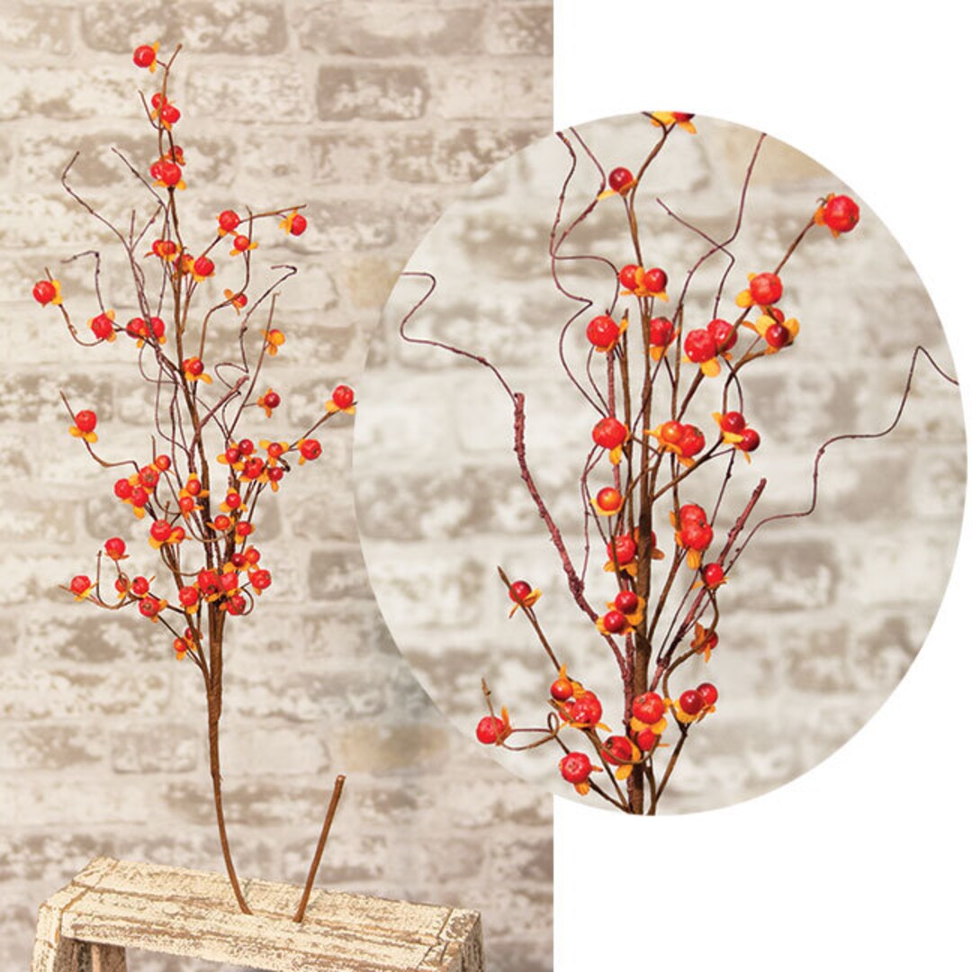 Natural-style Bittersweet 31 Faux Spray - Etsy