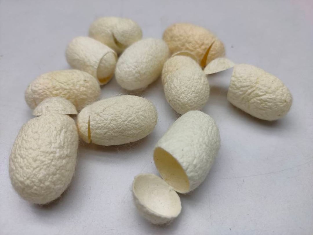 Spa Cocoons | Cut Cocoon | Facial Massage Cocoon | Mulberry Cocoon ...