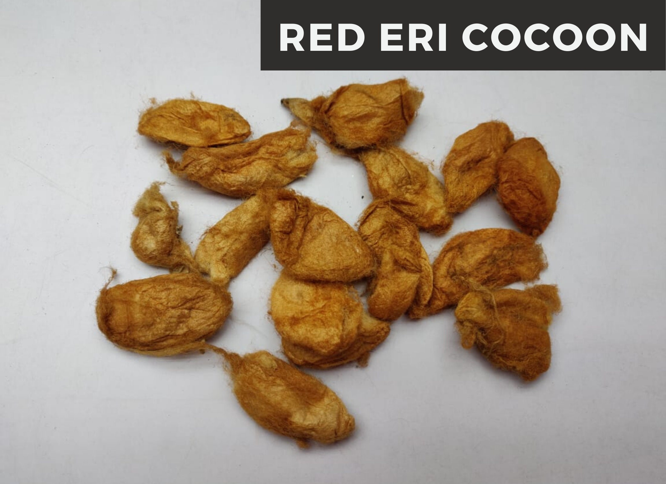 Red Eri Cocoon Eri Silk Cocoon ERI Cocoon Red Cocoon - Etsy