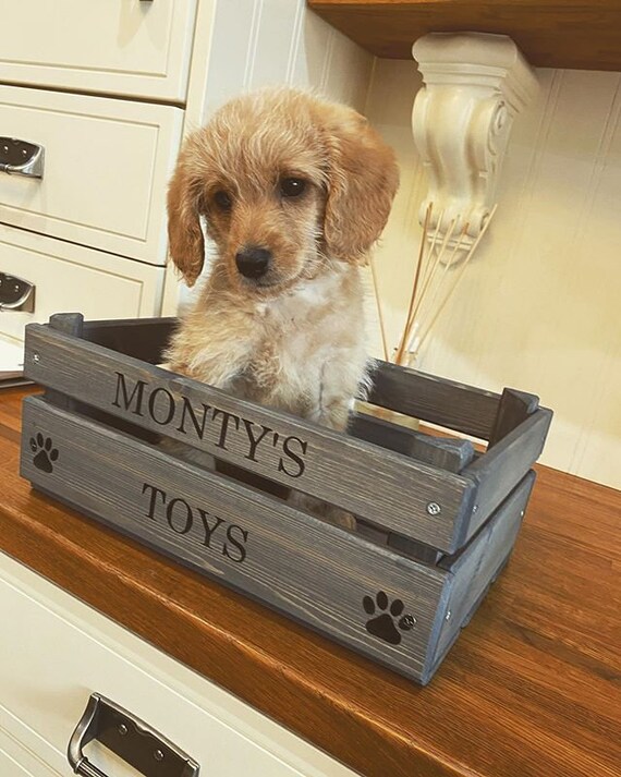 Small Personalised Toy Treat Box for Your Cat or Dog in Grey - Etsy UK