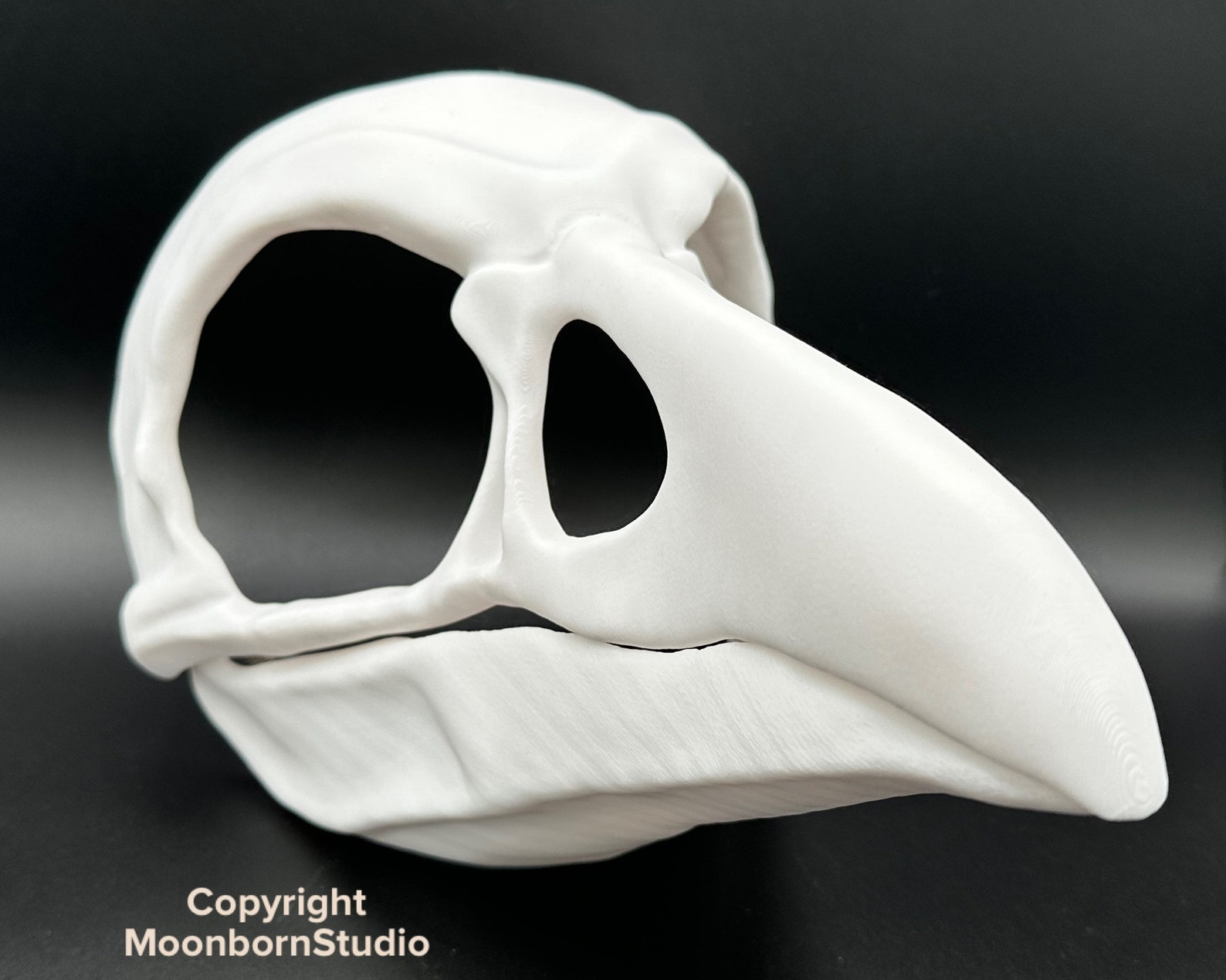 Raven Bird Skull Corvus Bone Skull Mask Movable Moving Hinge Jaw 3D ...
