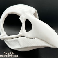 Bird Mask - Etsy