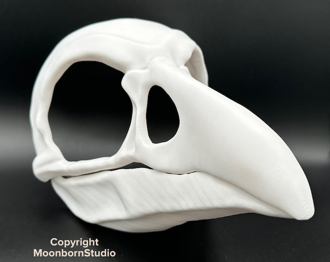 Raven Bird Skull Corvus Bone Skull Mask - Movable Moving Hinge Jaw- 3D ...