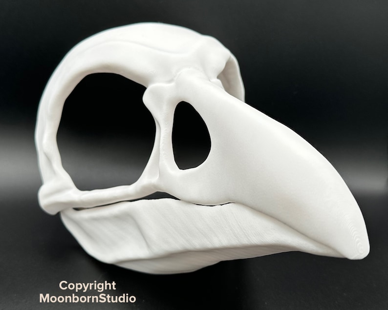 Raven Bird Skull Corvus Bone Skull Mask Movable Moving Hinge - Etsy