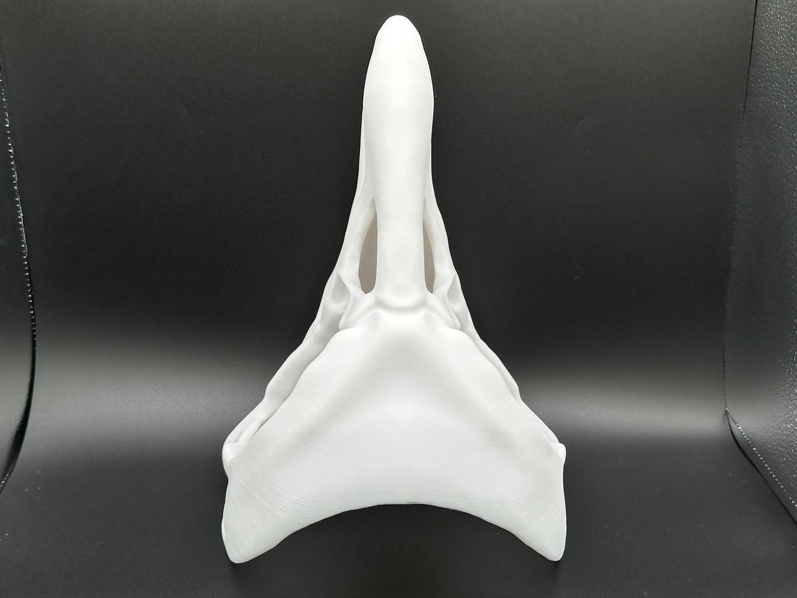 Raven Bird Skull Corvus Bone Skull Mask Movable Moving Hinge Jaw 3D ...