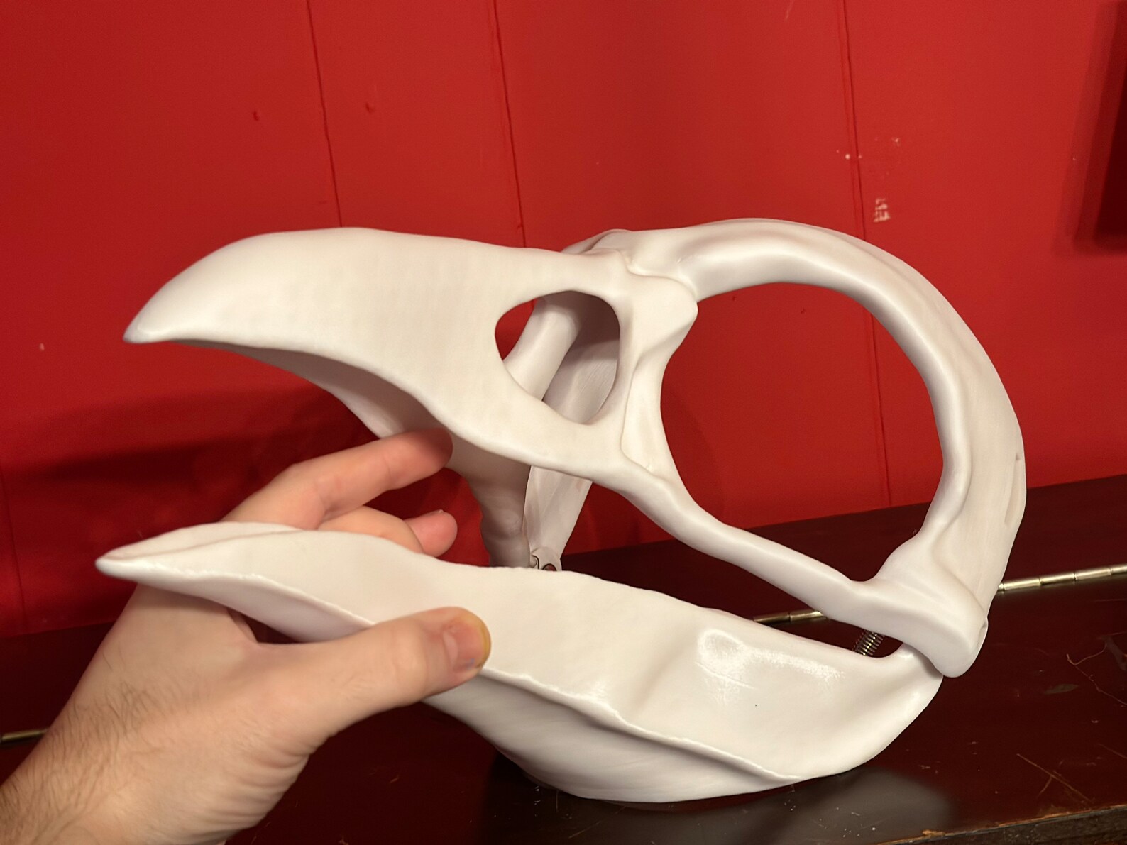 Raven Bird Skull Corvus Bone Skull Mask Movable Moving Hinge Jaw 3D ...