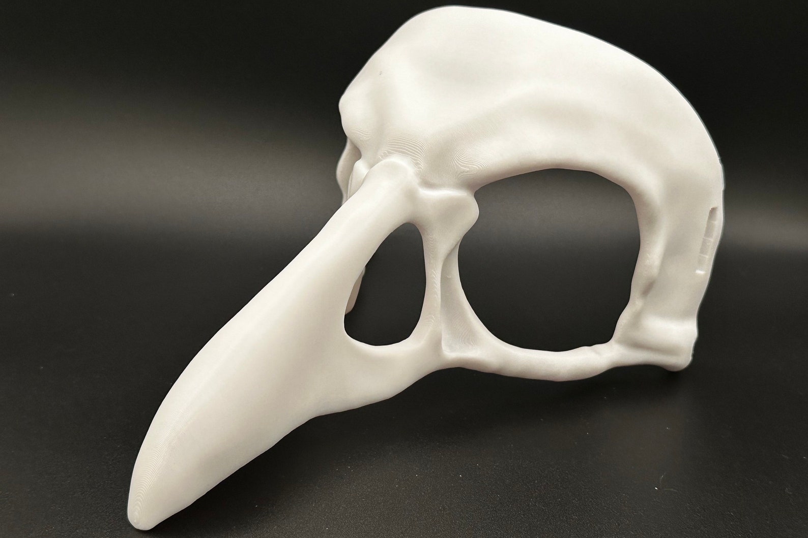 Raven Bird Skull Corvus Bone Skull Mask Movable Moving Hinge Jaw 3D ...