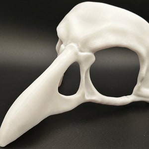 Raven Bird Skull Corvus Bone Skull Mask - Movable Moving Hinge Jaw- 3D ...